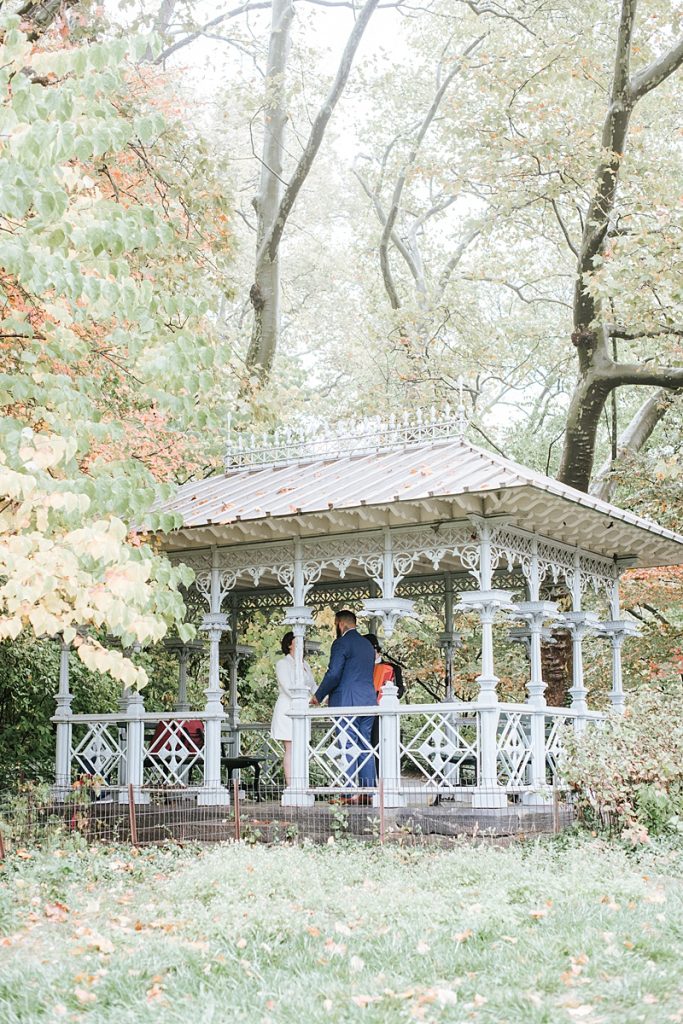 How to Elope in Central Park, NYC | Eloping is Fun